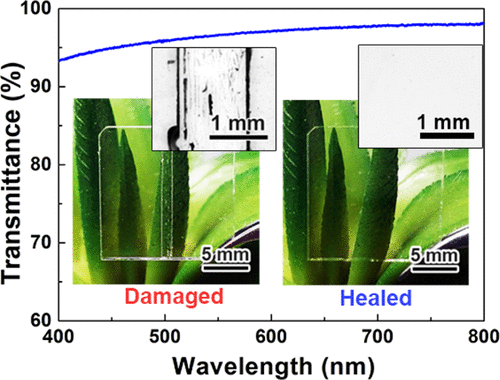 Transparent Polymeric Films Capable of Healing Millimeter-Scale Cuts ...