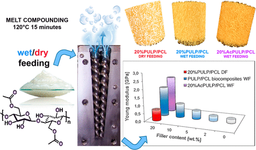 Poly(ε-caprolactone) Biocomposites Based on Acetylated Cellulose Fibers ...