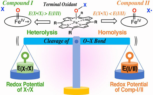Critical Factors in Determining the Heterolytic versus Homolytic Bond ...