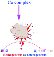 Water oxidation catalyzed by two cobalt complexes: new challenges and ...