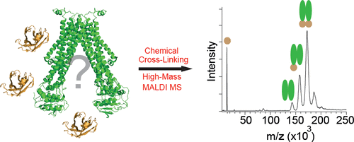 Binding Specificities of Nanobody•Membrane Protein Complexes Obtained ...