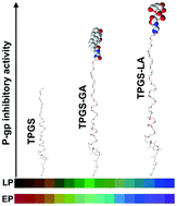 Mechanisms of TPGS and its derivatives inhibiting P-glycoprotein efflux ...