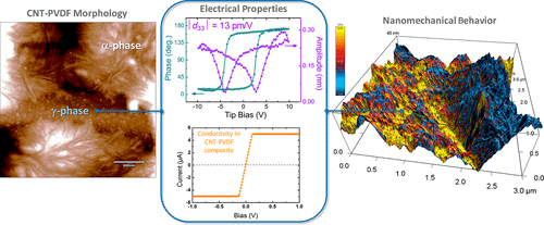 Nanoscale Investigations of α- and γ-Crystal Phases in PVDF-Based ...