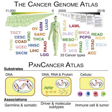 Perspective on Oncogenic Processes at the End of the Beginning of ...