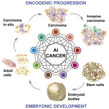 Machine Learning Identifies Stemness Features Associated with Oncogenic ...