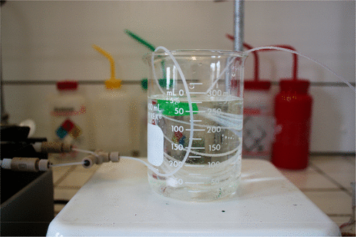 Continuous Flow Science in an Undergraduate Teaching Laboratory: Bleach ...