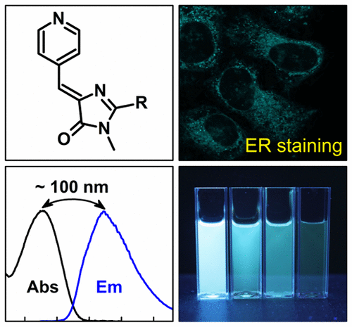 Pyridinium Analogues of Green Fluorescent Protein Chromophore ...