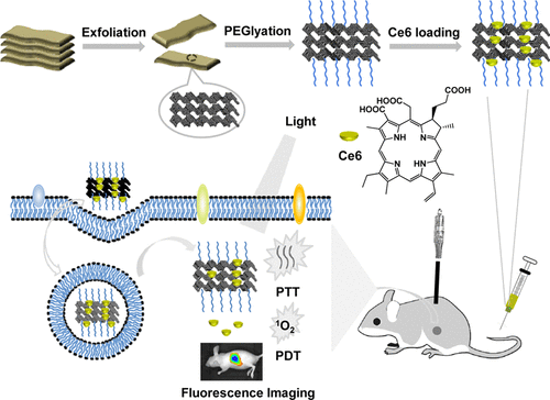 Black Phosphorus Nanosheets Immobilizing Ce6 for Imaging-Guided ...
