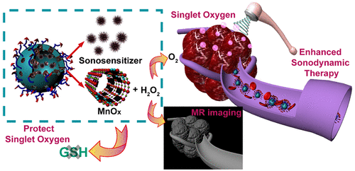 Nanoenzyme-Augmented Cancer Sonodynamic Therapy by Catalytic Tumor ...