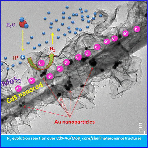 Smart Hybridization of Au Coupled CdS Nanorods with Few Layered MoS2 ...
