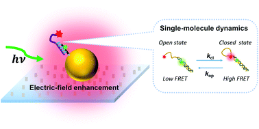 Combining gold nanoparticle antennas with single-molecule fluorescence resonance energy transfer ...