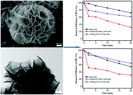 Synthesis of petal-like δ-MnO2 and its catalytic ozonation performance ...
