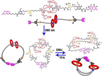 Light‐Induced Cyclization of A [c2]Daisy‐Chain Rotaxane to Form a ...