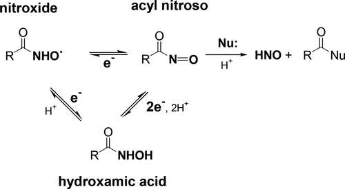 Nitrogen Dioxide Reaction with Nitroxide Radical Derived from ...