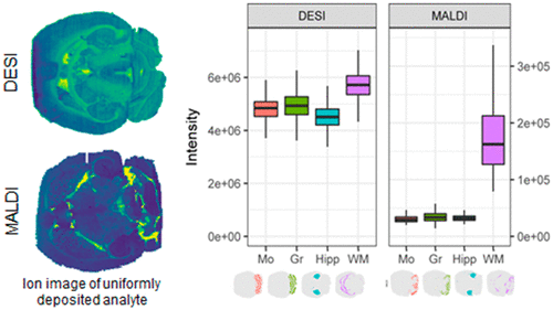 Exploring Ion Suppression in Mass Spectrometry Imaging of a ...