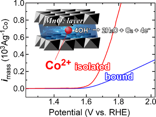 Enhanced Oxygen Evolution Reaction Activity of Co Ions Isolated in the ...