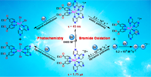 Visible Light Driven Bromide Oxidation and Ligand Substitution ...