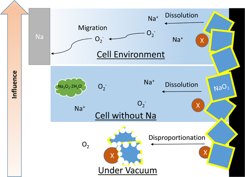 On the Stability of NaO2 in Na–O2 Batteries,ACS Applied Materials ...