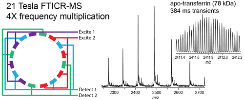 High Speed Intact Protein Characterization Using 4X Frequency ...