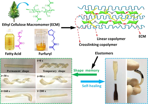 Sustainable Multiple- and Multistimulus-Shape-Memory and Self-Healing ...