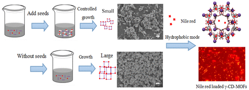Green Synthesis of Cyclodextrin-Based Metal–Organic Frameworks through ...