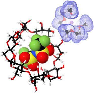 Catching TFSI: A Computational–Experimental Approach to β‐Cyclodextrin ...