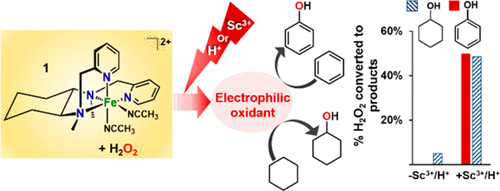 Sc3+ (or HClO4) activation of a nonheme FeIII–OOH intermediate for the ...