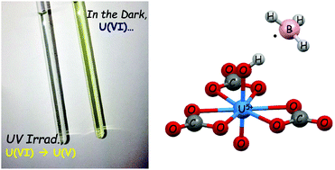 光激发[UO 2 （CO 3 ） 3 ] 4− † 对硼氢化物的氧化