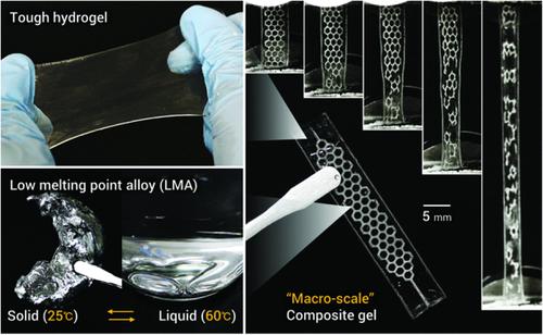 Creating Stiff, Tough, and Functional Hydrogel Composites with Low ...