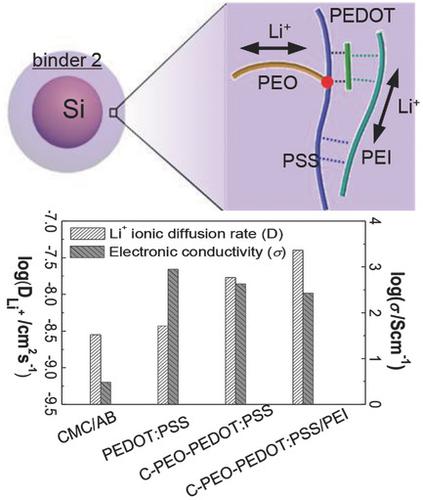 Enhanced Ion Conductivity in Conducting Polymer Binder for High‐Performance Silicon Anodes in ...