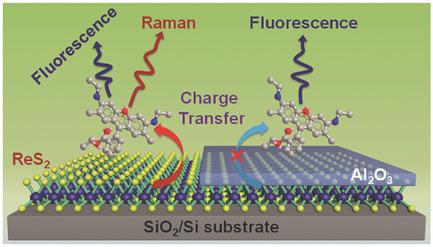 Unraveling the Raman Enhancement Mechanism on 1T′‐Phase ReS2 Nanosheets ...