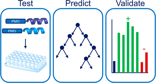 Machine Learning To Predict Cell-Penetrating Peptides for Antisense Delivery,ACS Central Science ...