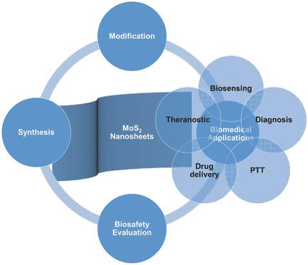 2D MoS2 Nanostructures for Biomedical Applications,Advanced Healthcare ...