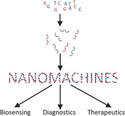 Bioderived DNA Nanomachines for Potential Uses in Biosensing ...