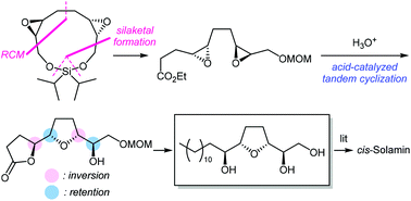 Formal synthesis of cis-solamin: acid-catalyzed one-step construction ...