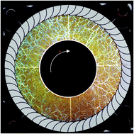 Nonlocal rheology of dense granular flow in annular shear experiments ...