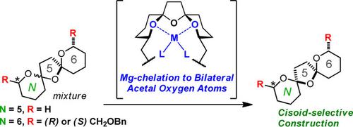 Stereoselective Construction of Cisoidal Bisspiroacetal Frameworks ...