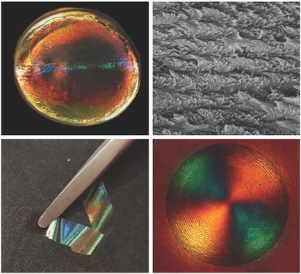 The Self‐Assembly of Cellulose Nanocrystals: Hierarchical Design of ...