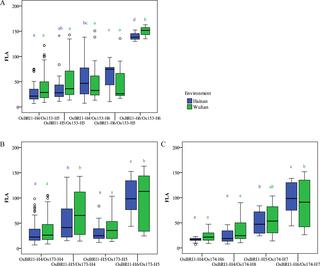全基因组关联研究表明，bHLH 亚家族 16 成员在调节水稻旗叶角度方面具有保守功能（Oryza sativa）,PLOS Genetics ...