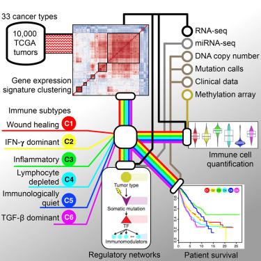 癌症的免疫景观。,Immunity - X-MOL
