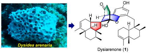 Dysiarenone, a Dimeric C21 Meroterpenoid with Inhibition of COX-2 Expression from the Marine ...