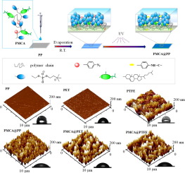 Fabrication of robust biomimetic coating by integrated physisorption/chemical crosslinking ...
