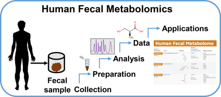 A Review on Human Fecal Metabolomics: Methods, Applications and the ...