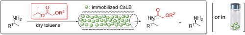 Optimization of 2-alkoxyacetates as acylating agent for enzymatic ...
