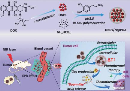 NIR‐Activated Polydopamine‐Coated Carrier‐Free “Nanobomb” for In Situ ...