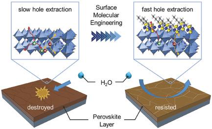Surface Electronic Modification of Perovskite Thin Film with Water ...