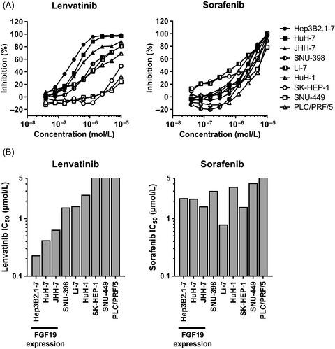 Lenvatinib inhibits angiogenesis and tumor fibroblast growth factor ...