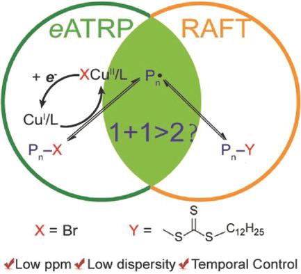 Synergy between Electrochemical ATRP and RAFT for Polymerization at Low ...