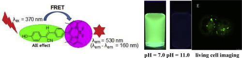 An AIE and FRET-based BODIPY sensor with large Stoke shift: Novel pH ...