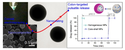 pH-sensitive polymer nanocoating on hydrophilic composites fabricated ...